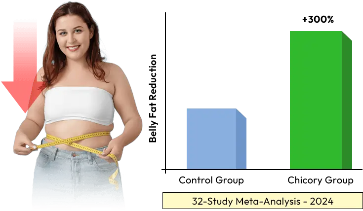 Lipo Boost Natural Fat Burning Solution